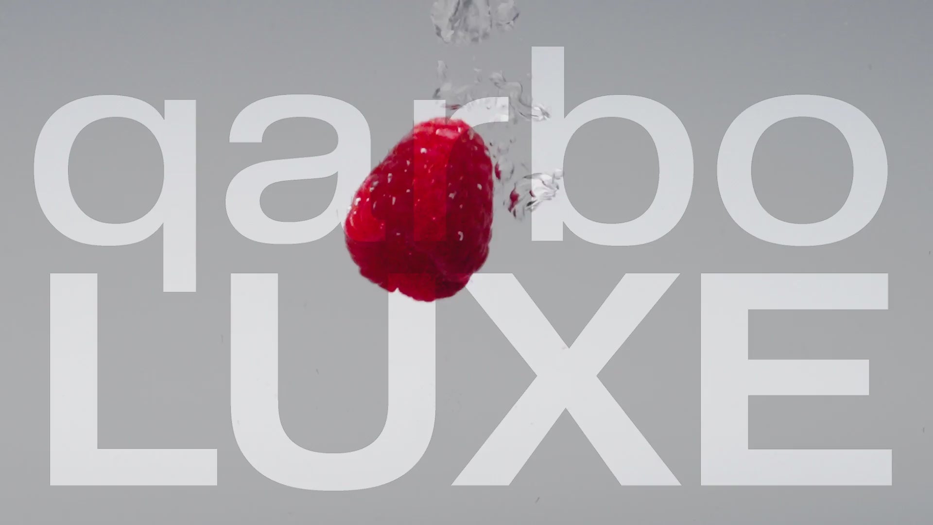 qarbo LUXE - The Ultimate Sparkling Beverage Maker for the Modern Home ...